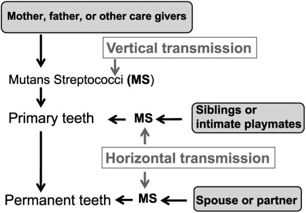 Vertical and Horizontal Transmission of caries
